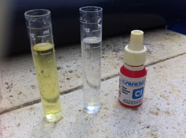 Beware of chlorine – The Fish Vet's Blog