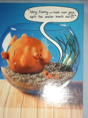 What does it mean if fish have “dropsy”? – The Fish Vet's Blog